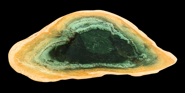 Pounamu vs Greenstone vs Jade: Why the Name Matters - Sands Carving Studio