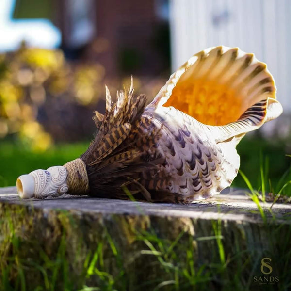 Pūtātara - Shell Trumpet with Whale Tooth Mouthpiece - Sands Carving Studio
